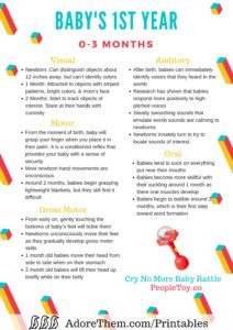 Developmental Milestones for Baby’s First Year - Adore Them Parenting