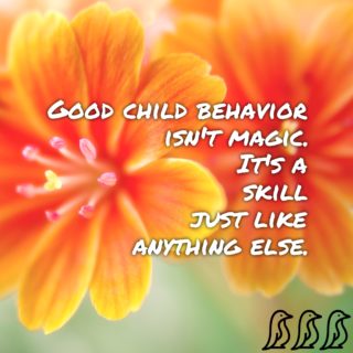 Improve Child Behavior Collection - Adore Them Parenting