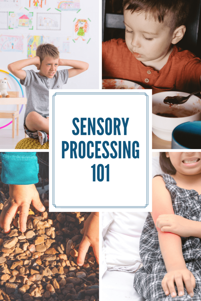 The Misunderstood Child: Sensory Processing 101 - Adore Them Parenting