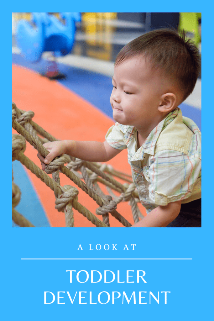 A Look at Toddler Development - Adore Them Parenting