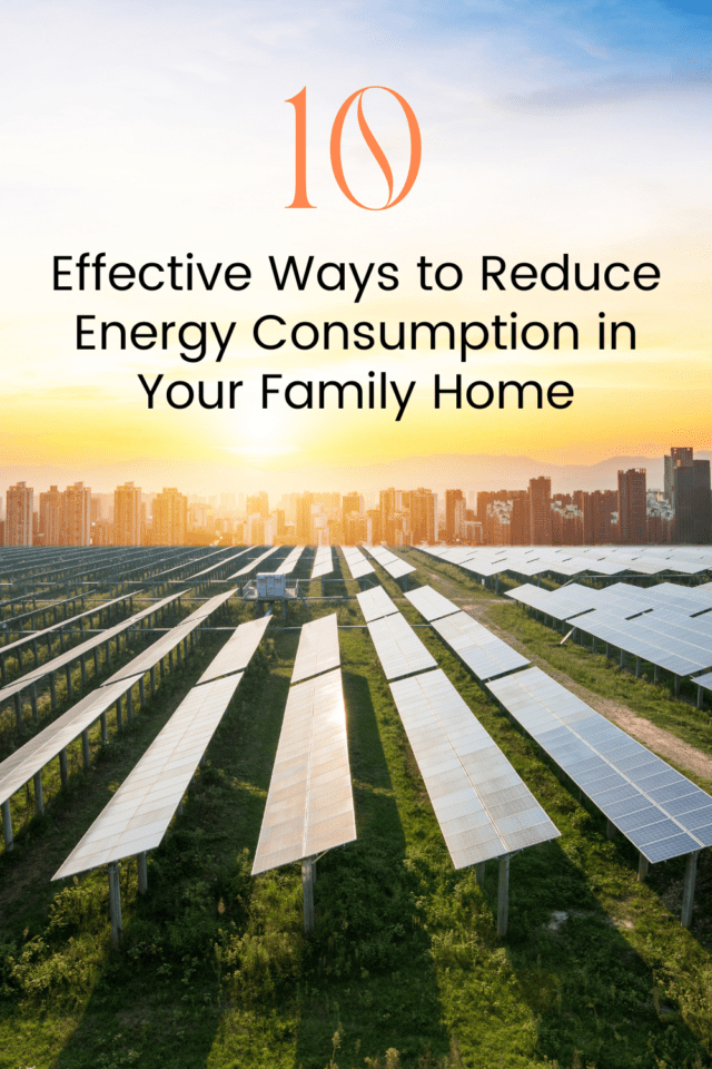10 Effective Ways to Reduce Energy Consumption in Your Family Home ...