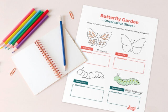 Butterfly Garden for Kids - Free Printable Activities - Adore Them ...